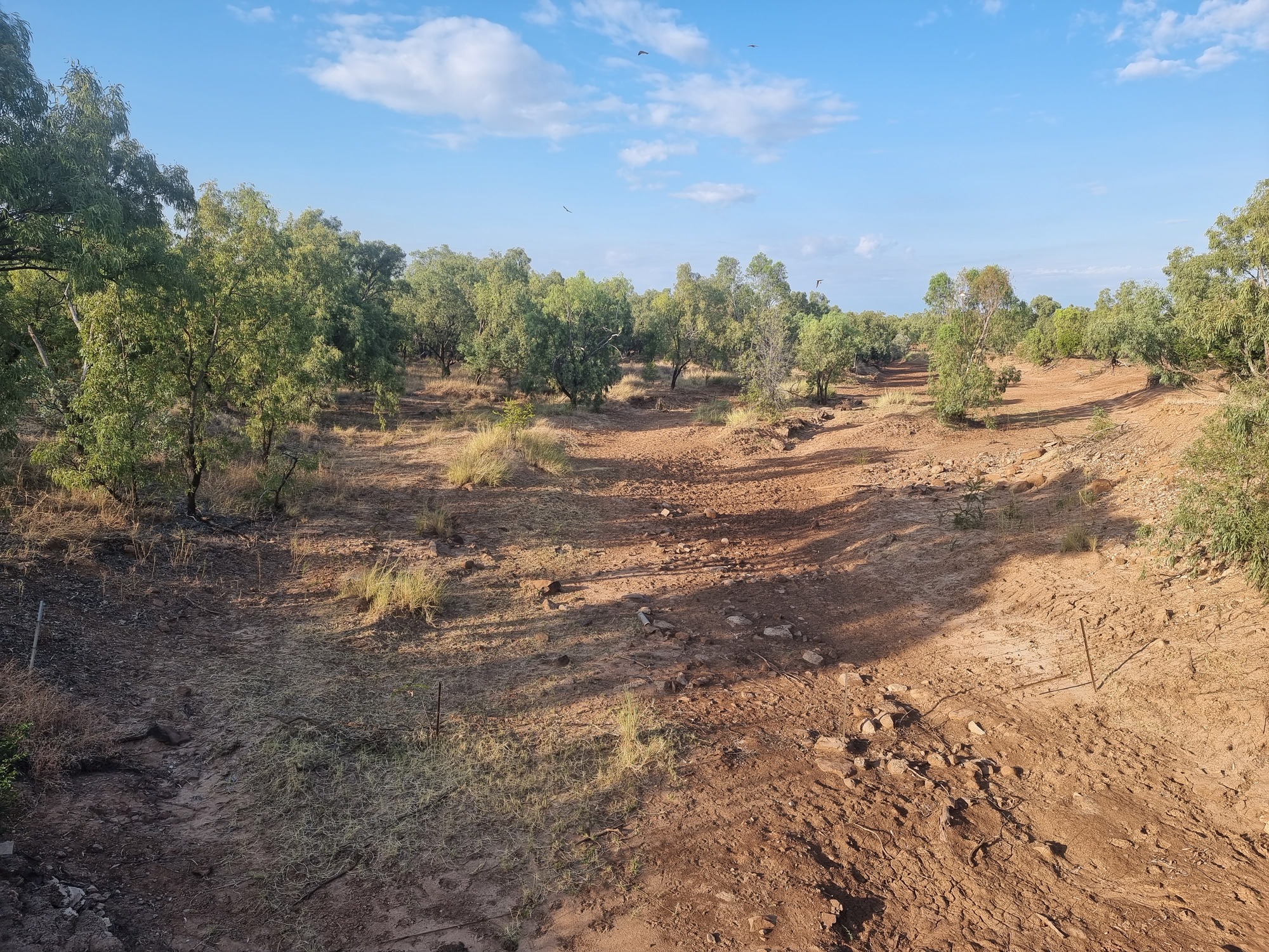 Day 7: East Baines rest area to Saddle Creek rest area - A happy ride ...