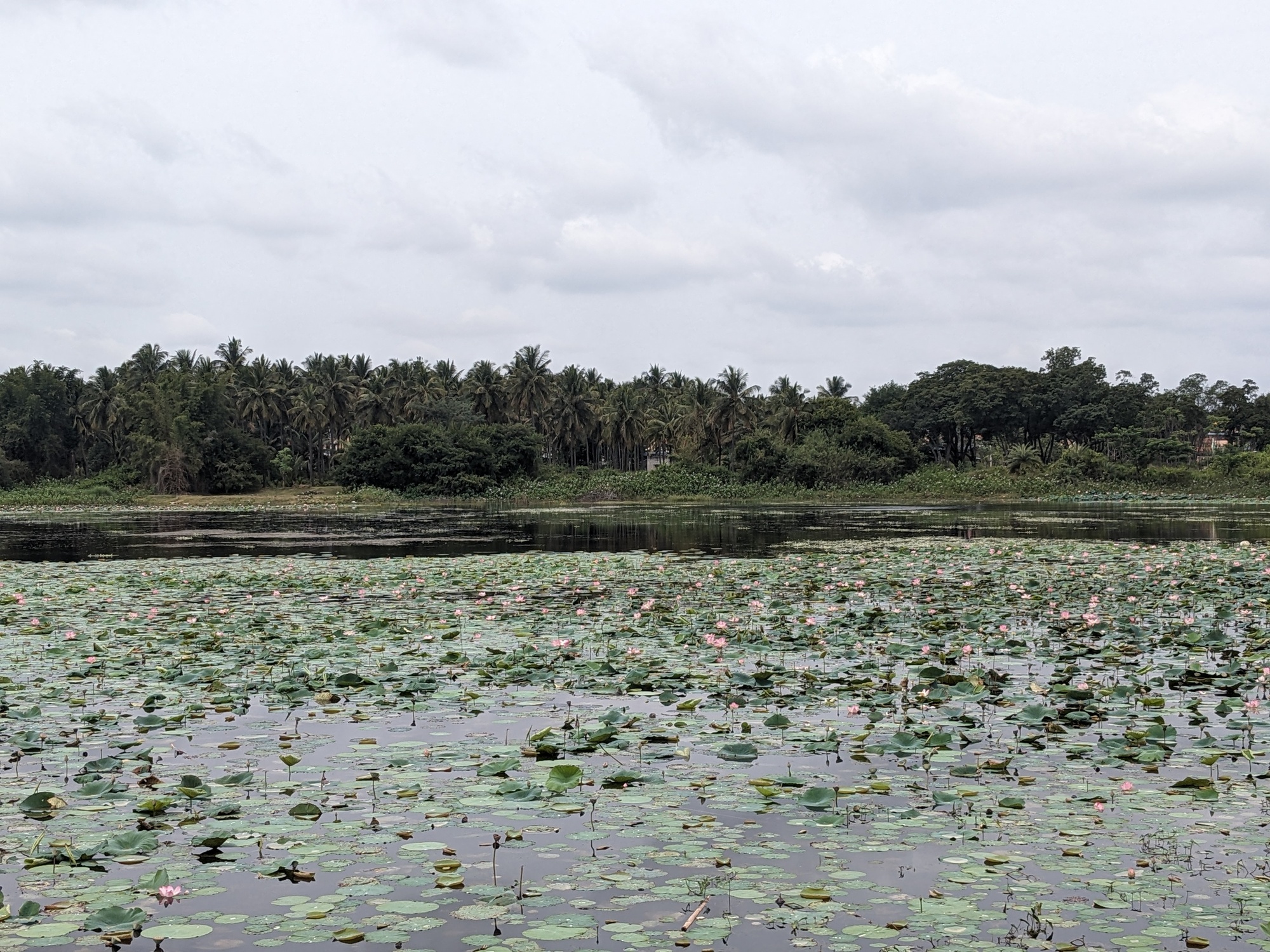 Day - 2 (Yadiyur to Chikkamagaluru) - It keeps getting better - India ...