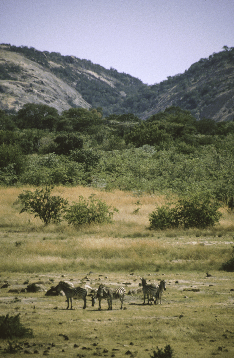 Matopos National Park - Racpat 1994 Already yet so soon....30 years ago ...