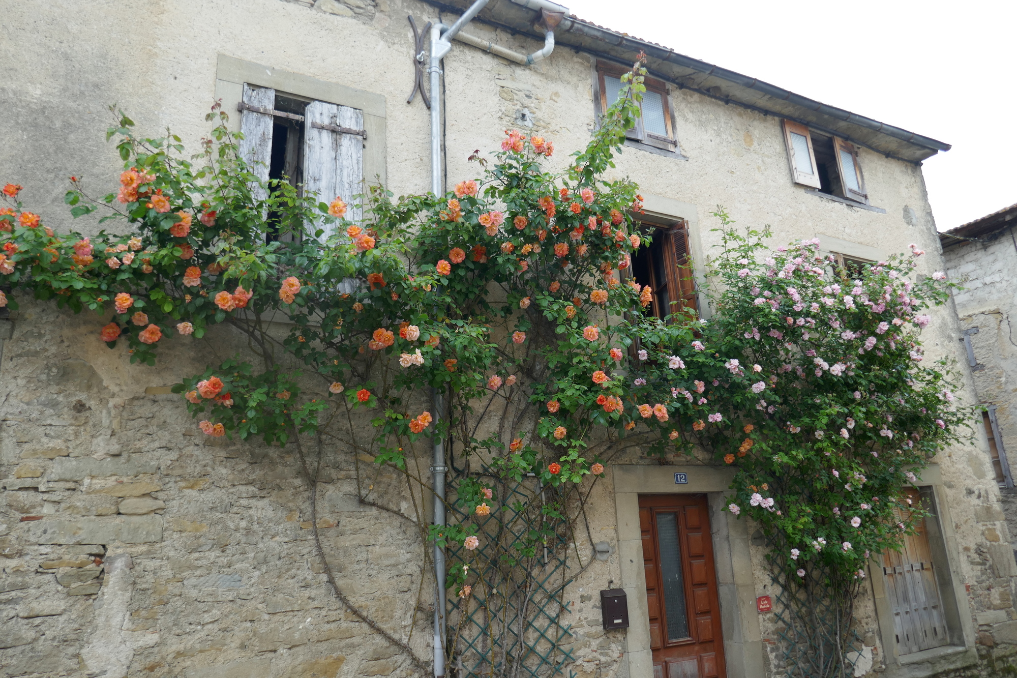 To Léran - You stole my wheels and that's what really hurts - CycleBlaze