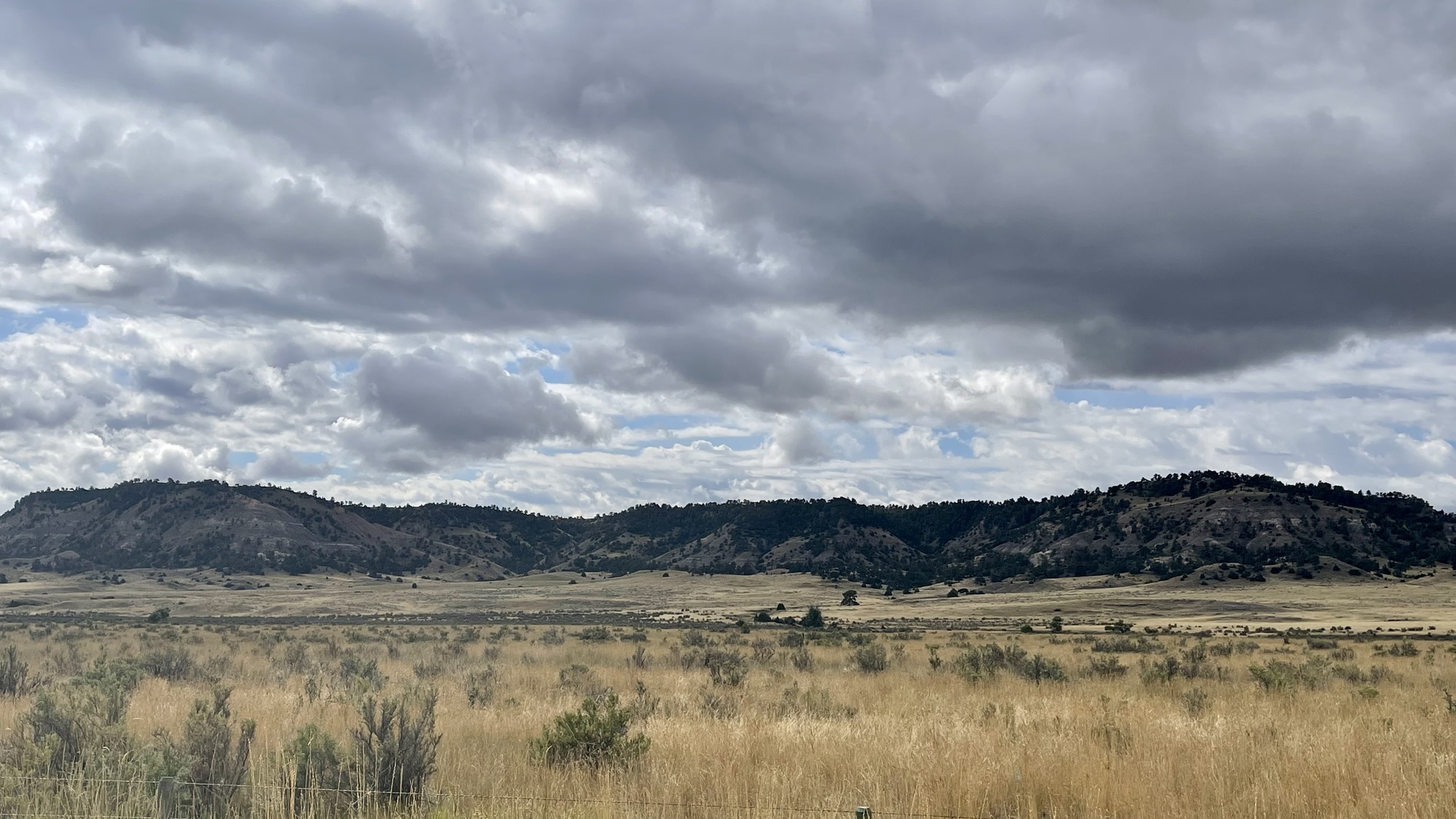 Clareton Highway towards the Black Hills - PedalPushin “The Final Two ...