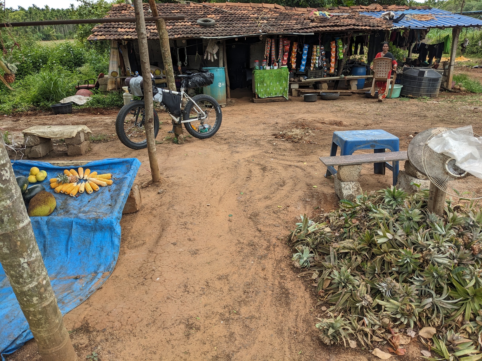 Day - 4 (Shankaraghatta to Sagar) - It keeps getting better - India ...