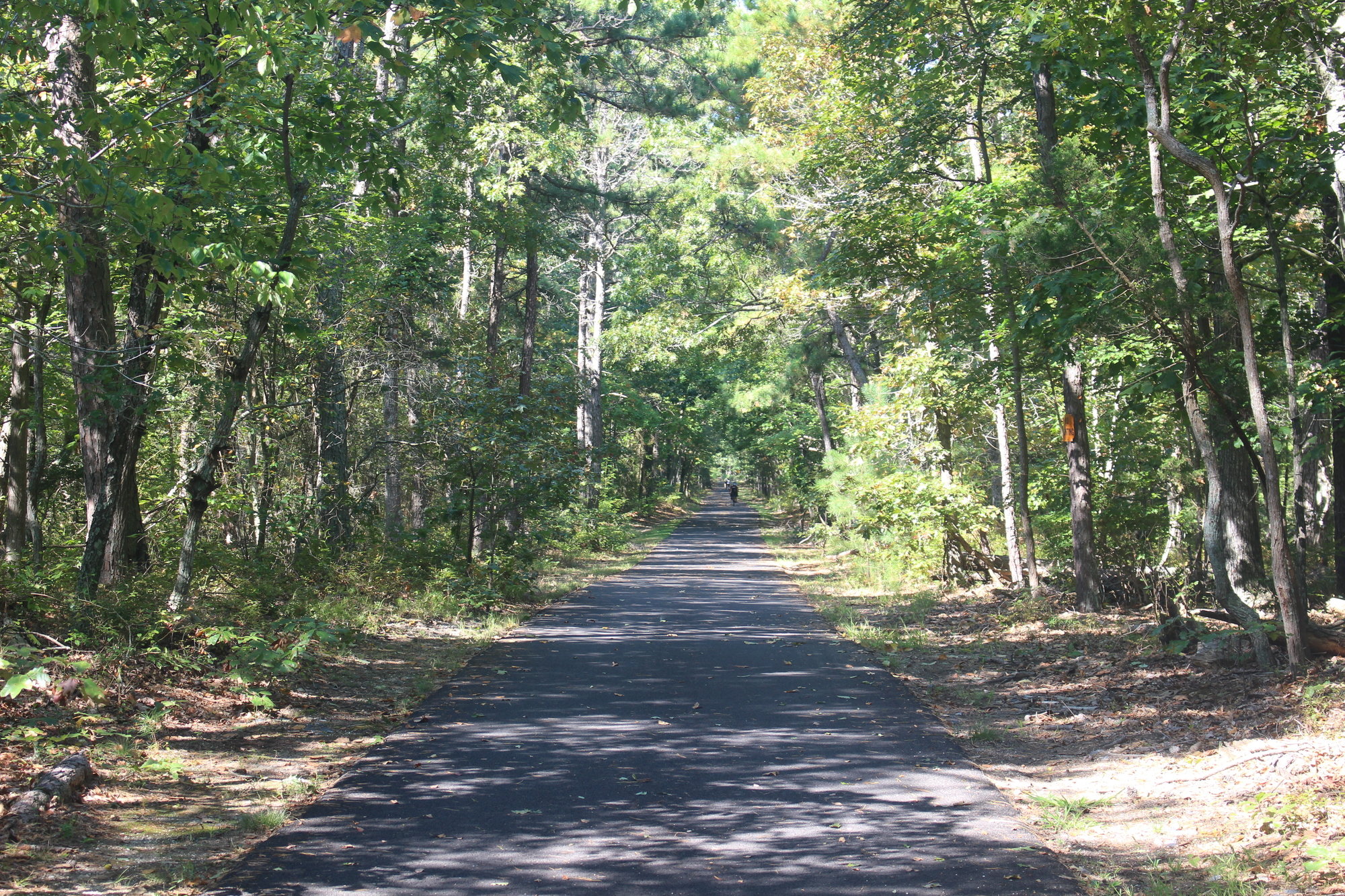 Day Nine: Dorothy, New Jersey to Lewes, Delaware - Five to Go - CycleBlaze