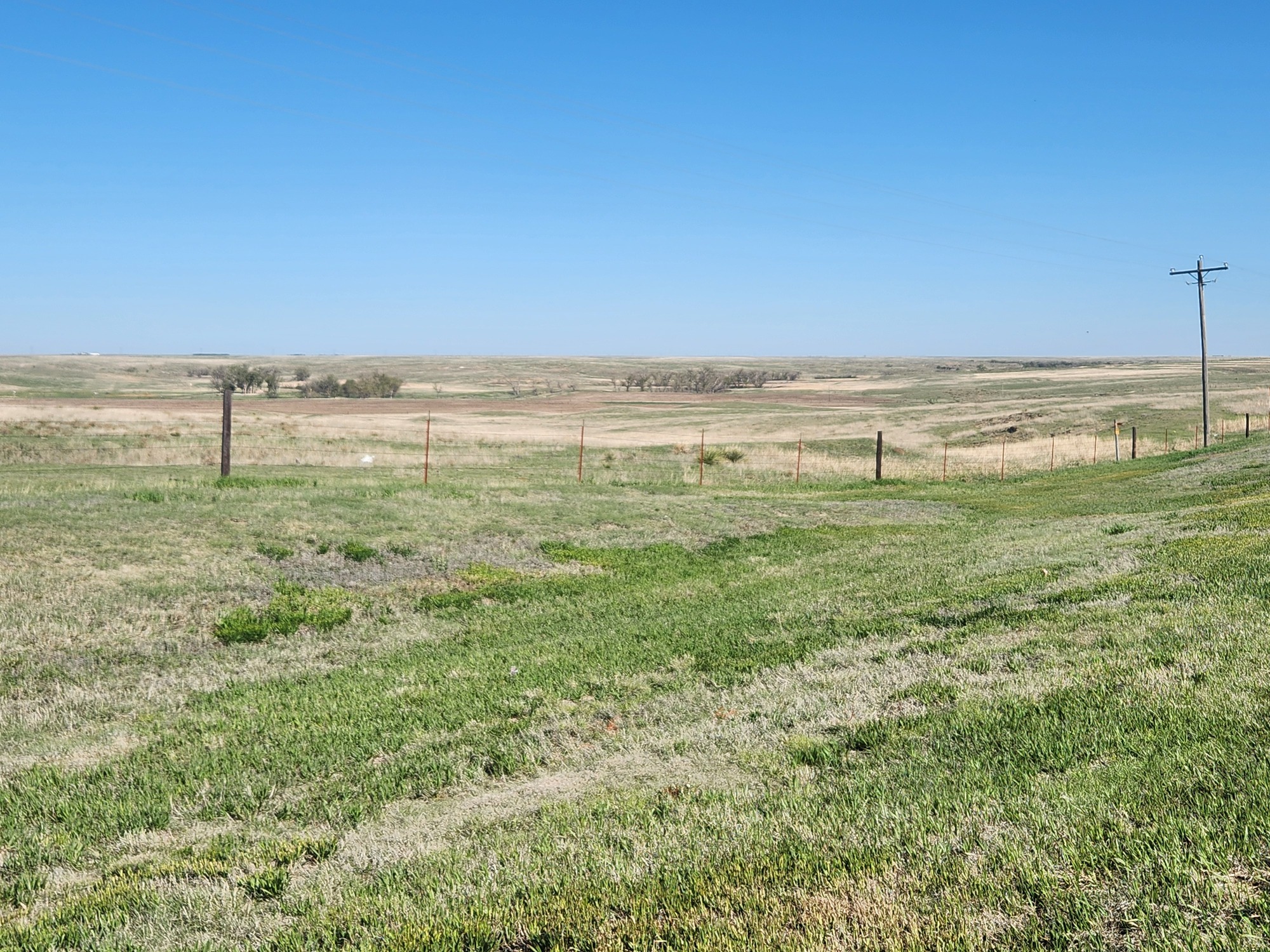 You Aren't Even Goin' To Believe This - Ersatz Cowboy Lassos The Wild West - CycleBlaze