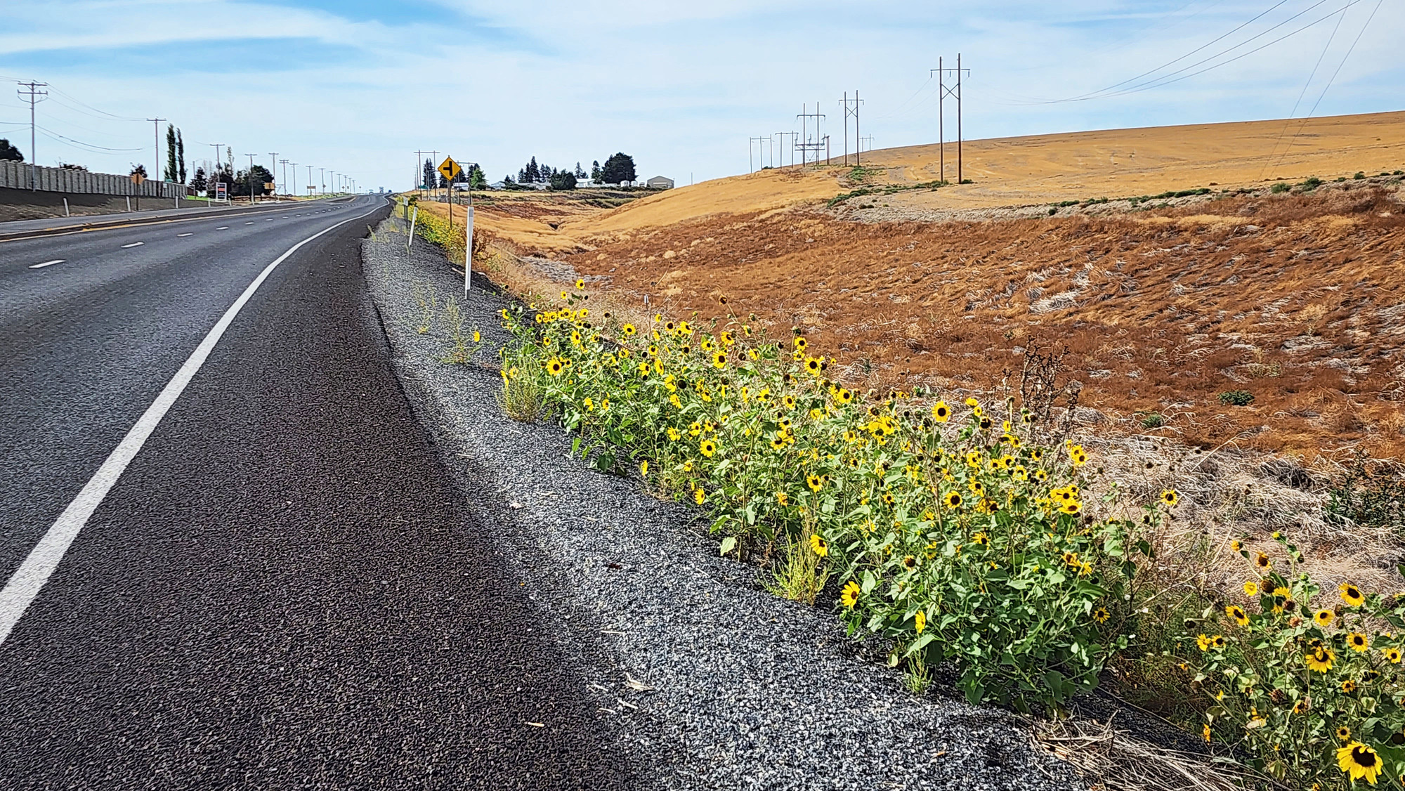 Day 6: Milton-Freewater to ABC Mountain Retreat - Exploring Northeast ...